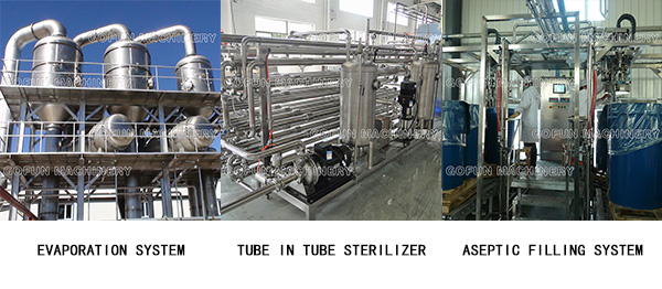 High Effiency Vegetable Processing Line Tomato Puree Production Line ...