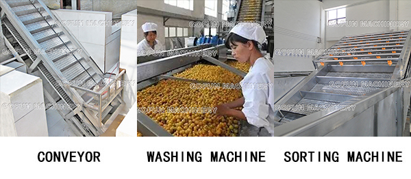 Strawberry Blueberry Berry Processing Equipment / Juice Production Machine