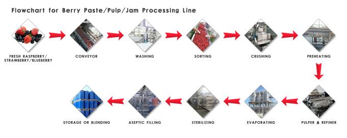 Professional Berry Processing Equipment / Fruit Jam Processing Machinery