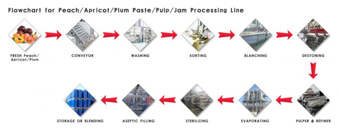 Apricot Plum Peach Processing Plant / Juice Processing Equipment Water ...