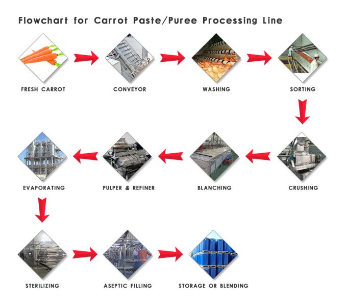 Professional Carrot Processing Plant / Fruit And Vegetable Processing ...
