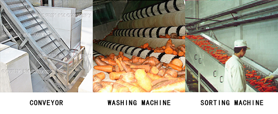 Juice Beverage CIP 20T/H Carrot Processing Equipment