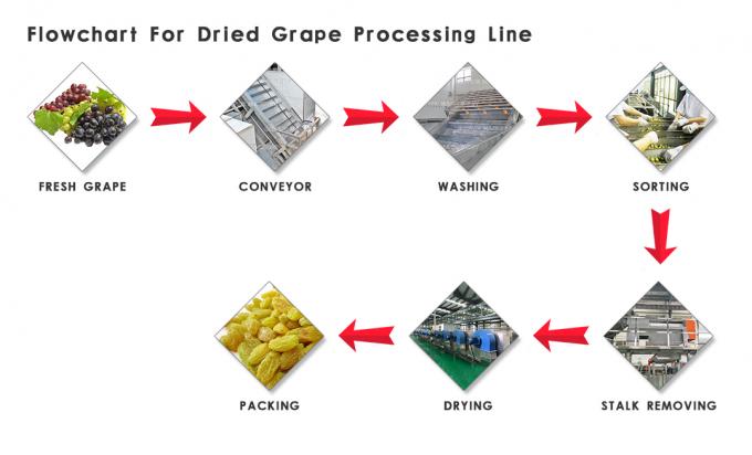 Energy Saving Grape Juice Processing Line / Raisin Processing Plant