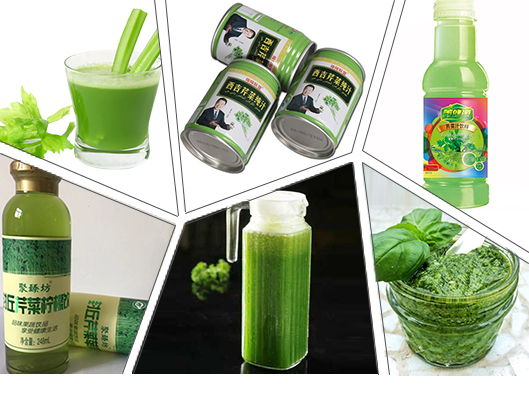 Safety Vegetable Processing Line Stable Performance Celery Processing ...