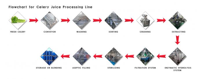 Safety Vegetable Processing Line Stable Performance Celery Processing ...