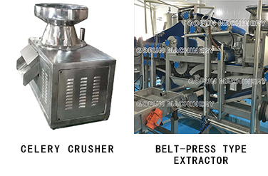 Safety Vegetable Processing Line Stable Performance Celery Processing ...