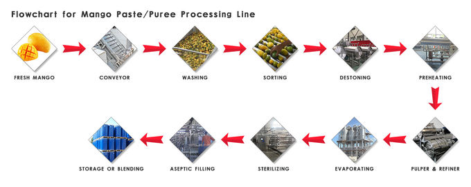 Automatic Fruit Processing Line Mango Paste Processing Line Energy Saving