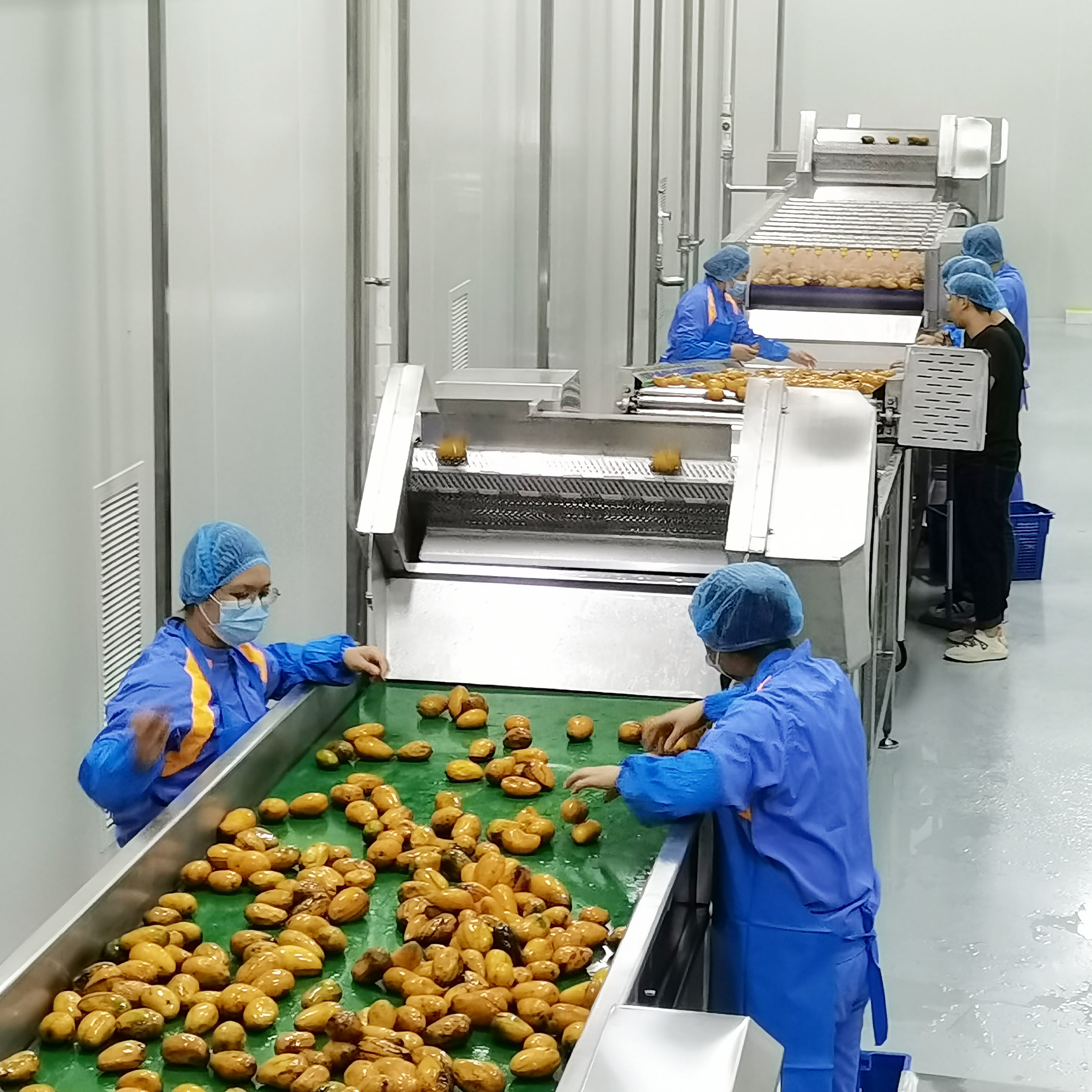 What processes are involved in the production process of the mango ...