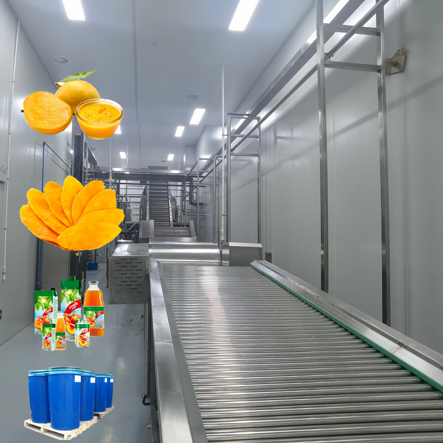 Building an efficient mango processing production line: improving ...