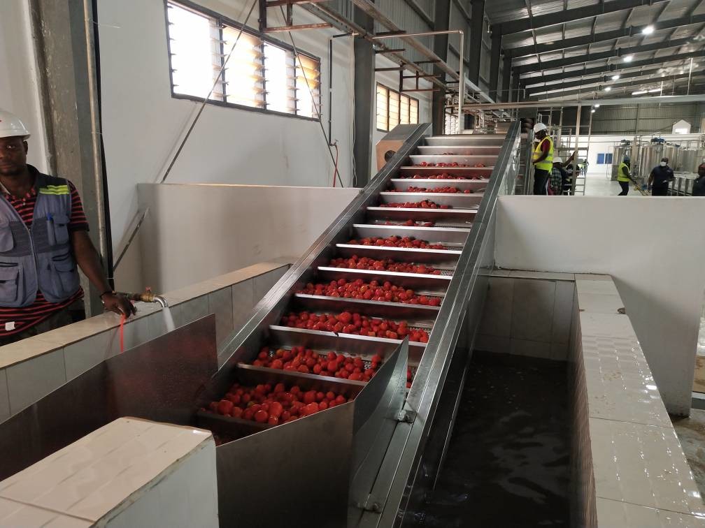 How to regularly maintain and upkeep the equipment of tomato processing line?