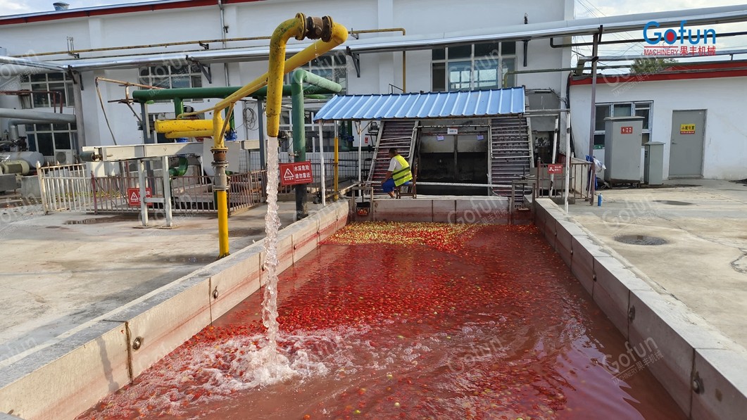 Main machines and production steps of tomato paste production line