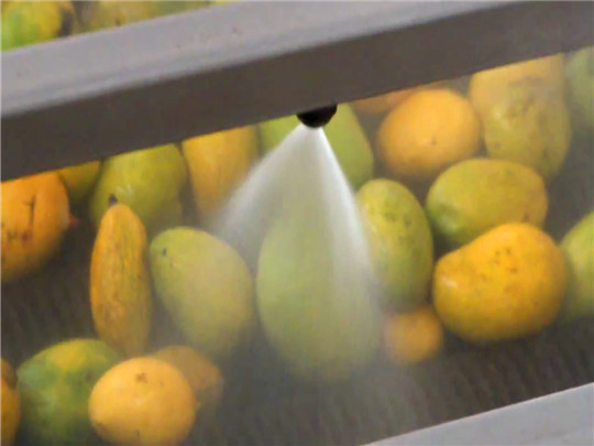 5 Tons/ hour mango pulp processing line in Bangladesh