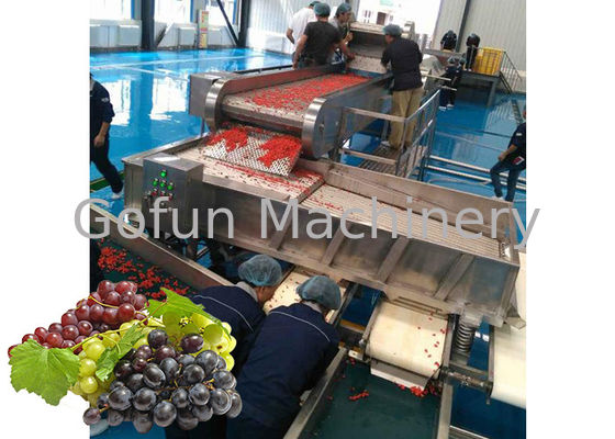 Concentrated Grape Juice Processing Line / Fruit Juice Processing Equipment