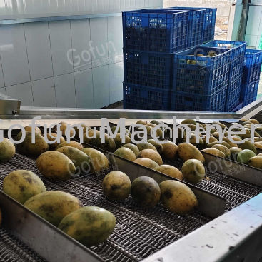 Mango Juice Processing Production Line Machine Mango Factory Dedicated ...