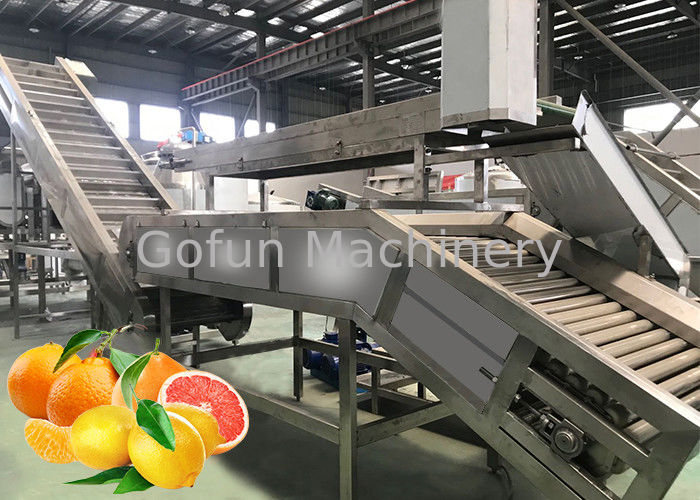 Industrial Citrus Processing Line Orange Lemon Processing Unit 1 Year ...
