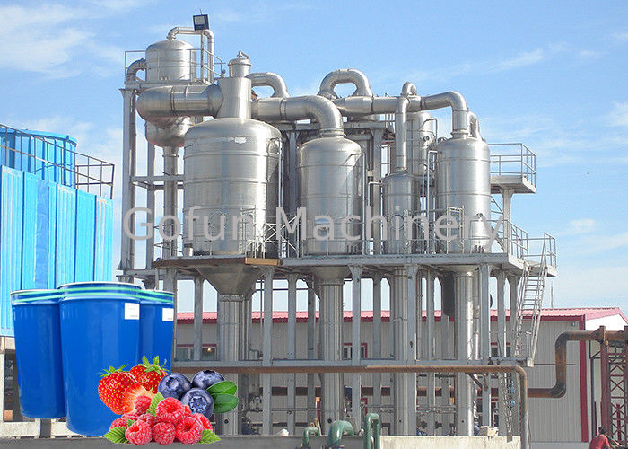 Strawberry Blueberry Berry Processing Equipment / Juice Production Machine
