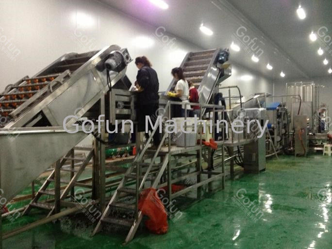 SUS304 / SS316 Mango Pulp Production Line 5 t/h Flexible Operation Support