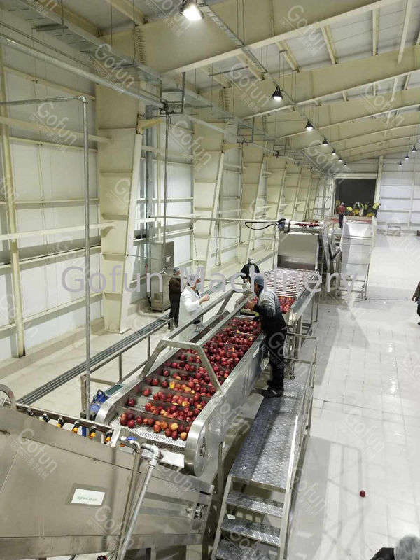 Automatic PLC Controlled Apple Juice Processing Machine 0.5T/H - 30T/H