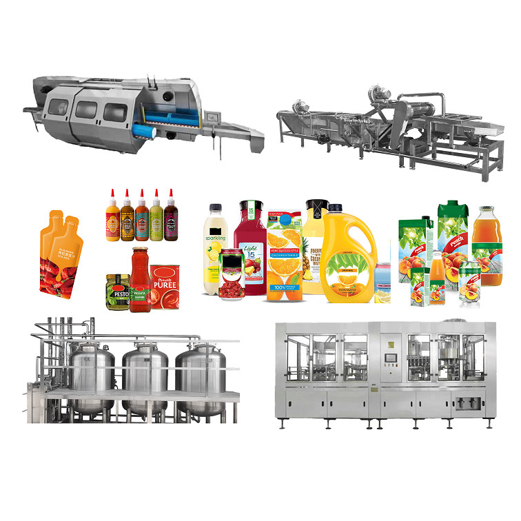 Pineapple Processing Line Multifunctional Pineapple Juice Concentrated ...