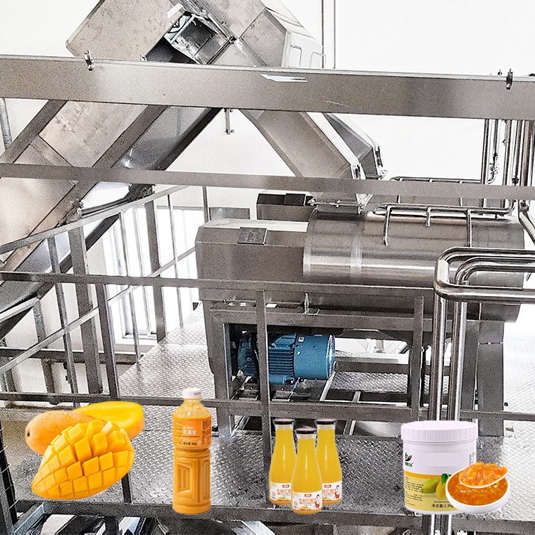 3T/H Mango Processing Line Jam Processing Machine One Stop Service