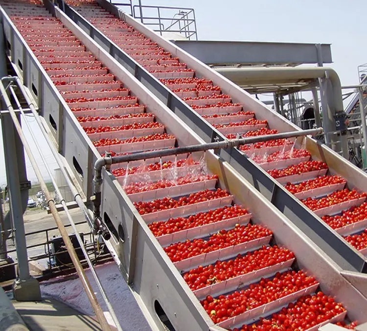 SUS 304 / 316 Tomato Ketchup Sauce Production Line Machinery Mechanized ...