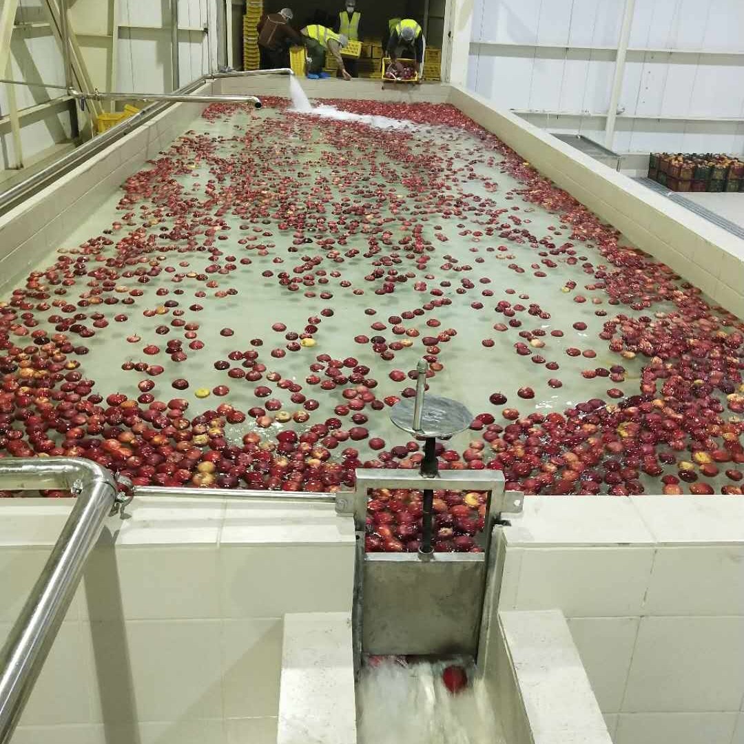 Industrial Apple Processing Line Multi-function Fruit Juice Processing ...