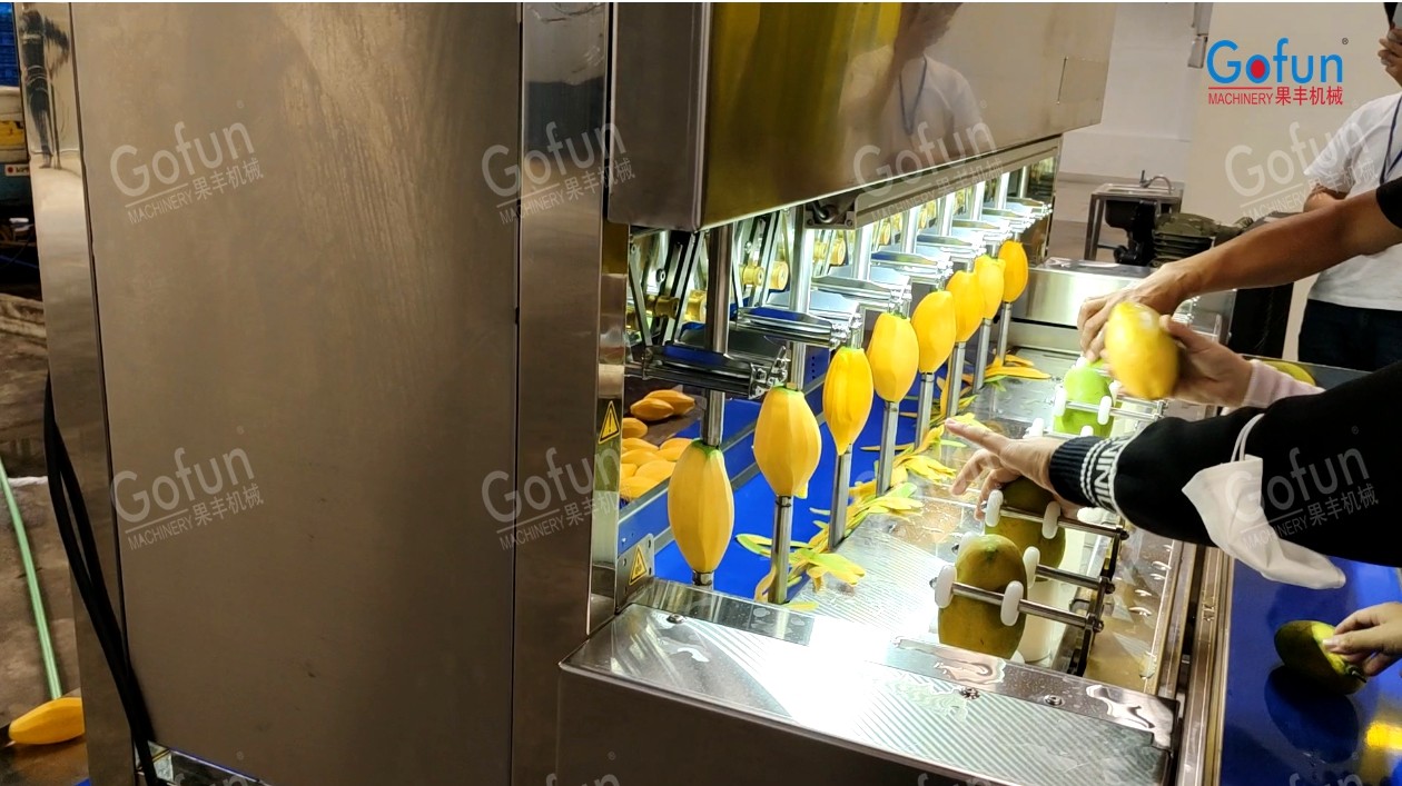 Automatic Mango Juice Processing Line Multifunctional Complete Set Of ...