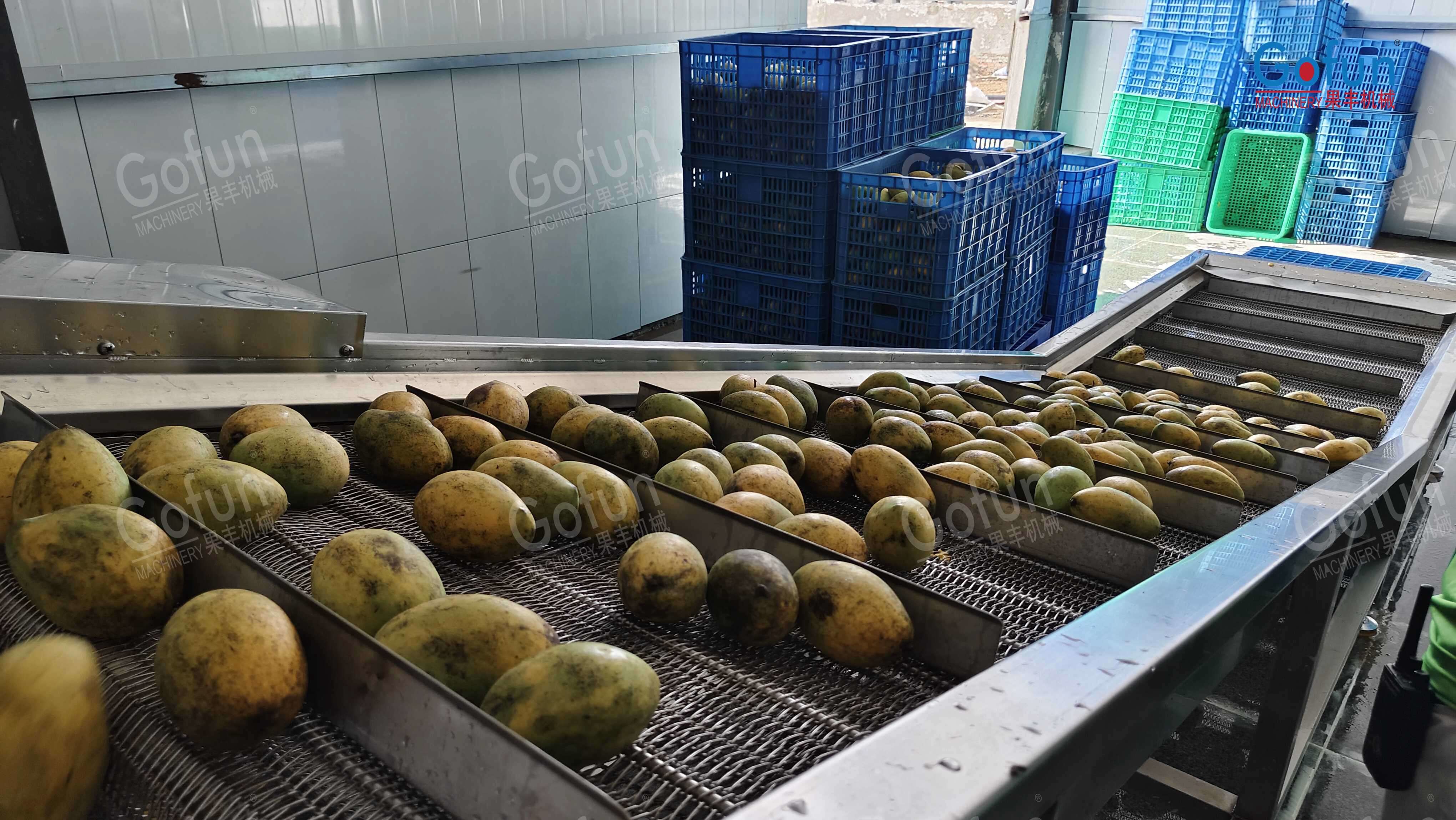 Mango Pulp Processing Line Complete Set Machine Double-pass Pulping ...