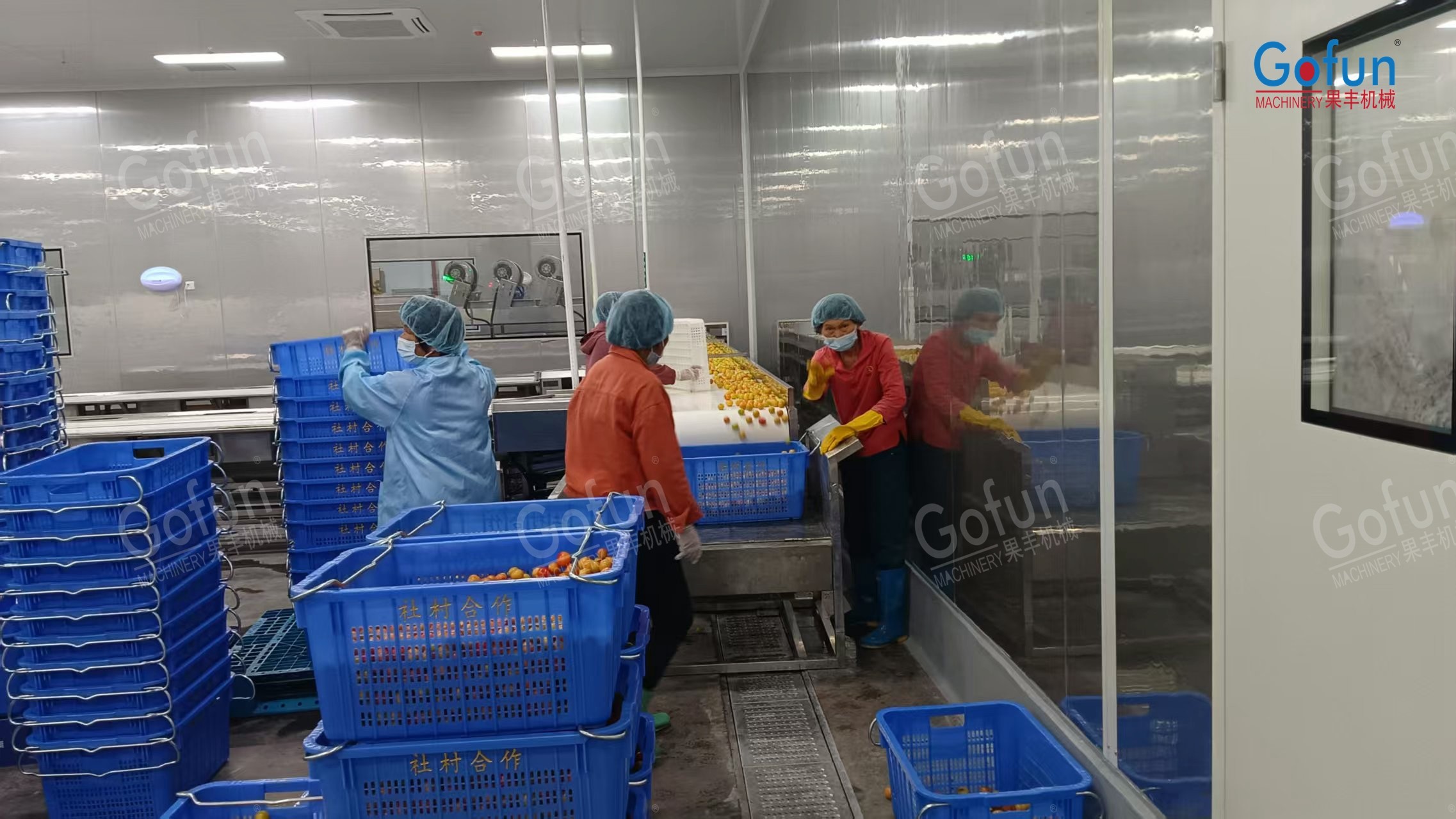 Industrial Multi-function Pineapple Juice Processing Line Special ...
