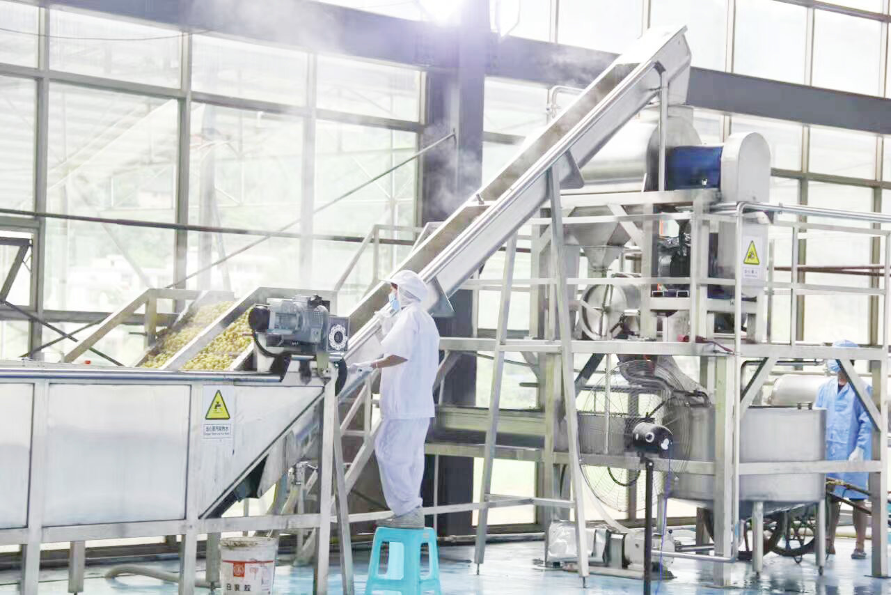 Turnkey Free - Drying Industrial Fruit Dryer Safety Control For Operators