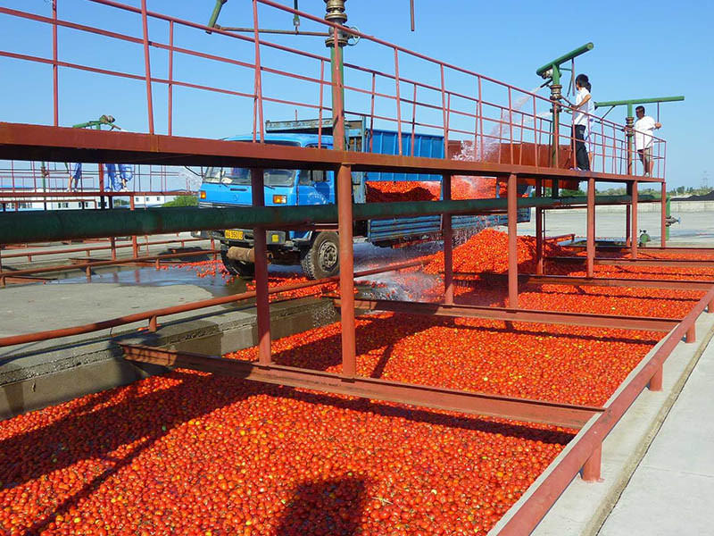 Commercial 380V Tomato Processing Line / Tomato Puree Processing Plant
