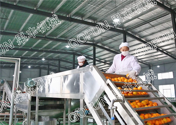 HPP Citrus Processing Line / 440V Lemon Processing Plant Easy Operation