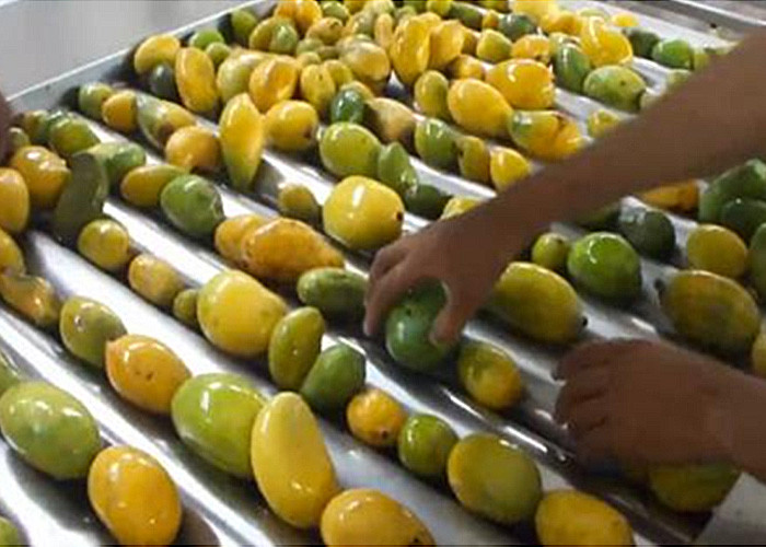 High Efficiency Mango Juice Processing Machine With Safety Protection ...