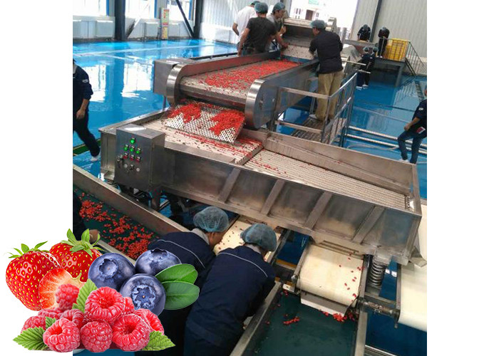 Linkage Control Strawberry Juice Processing Machine 220V / 380V Voltage