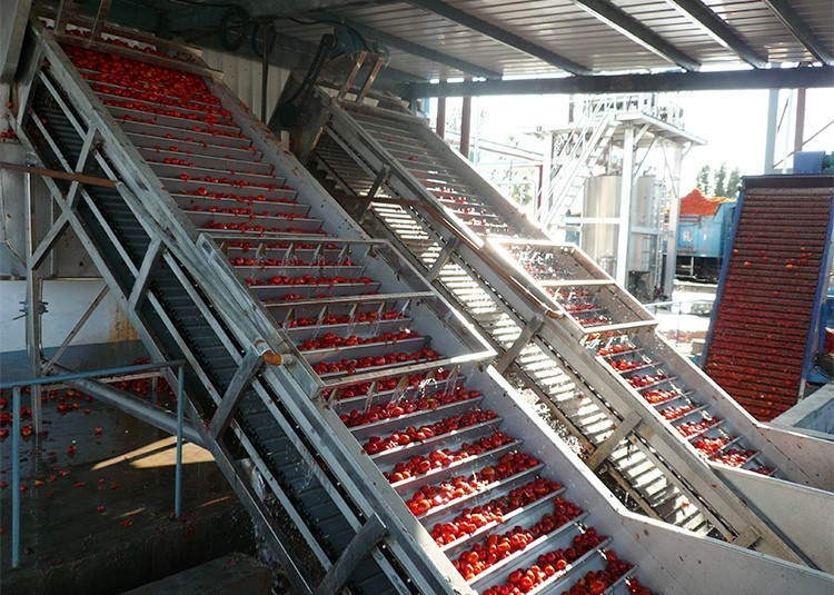 Strawberry Blueberry Berry Processing Equipment / Juice Production Machine