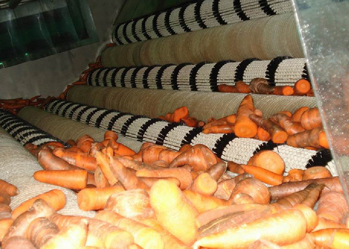 Industrial Carrot Processing Plant / Stable Carrot Processing Equipment
