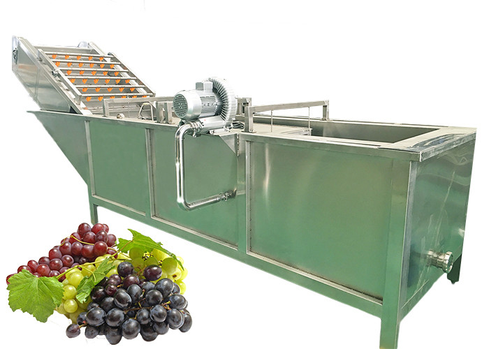Sterilizing SS316 20T/H Grape Juice Extraction Machine