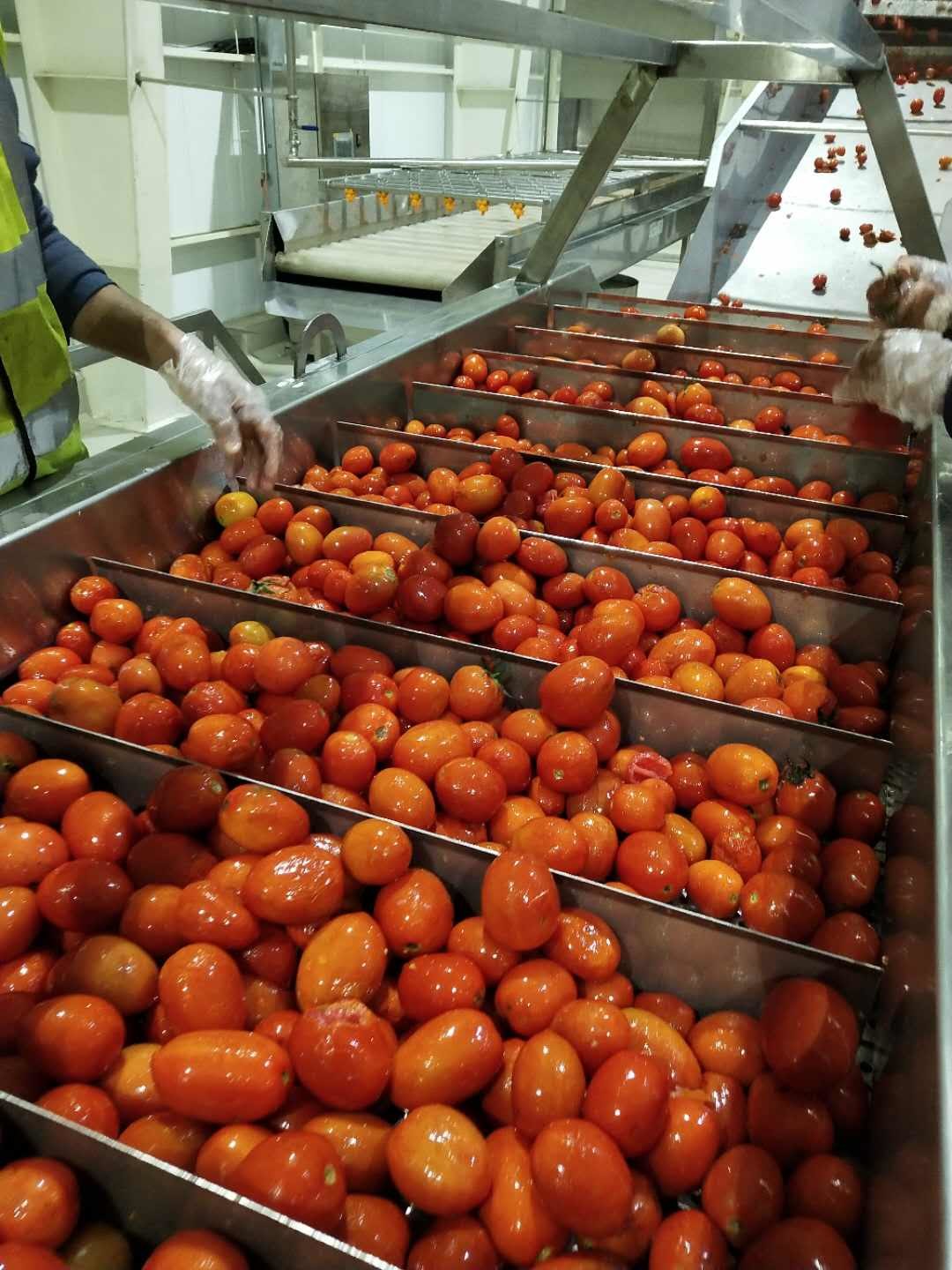 220v / Customized Tomato Processing Line Fruit Jam Production Line ...