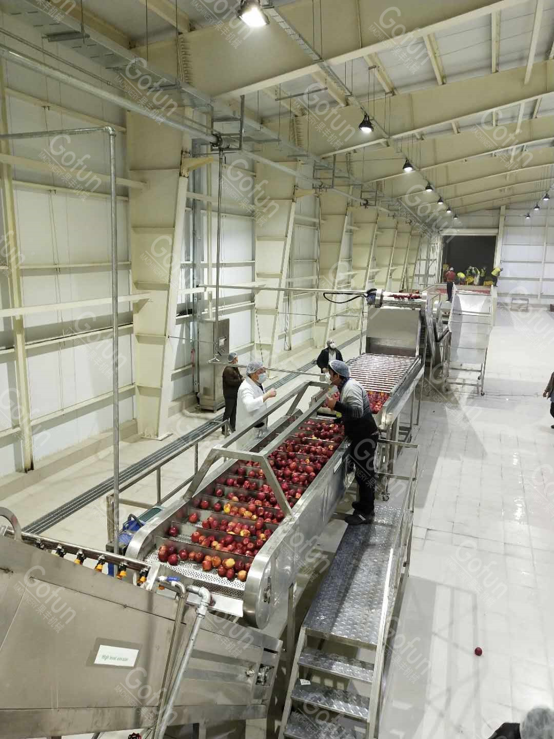 Ss304 Apple Processing Line Automatic Fruit Juice Making Machine 380V