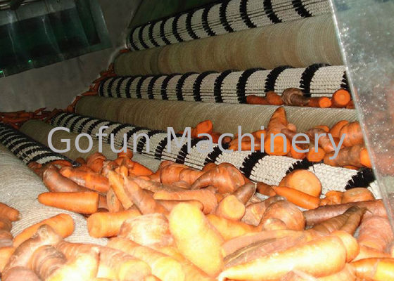 Carrot Processing Plant factory, Buy good quality Carrot Processing ...
