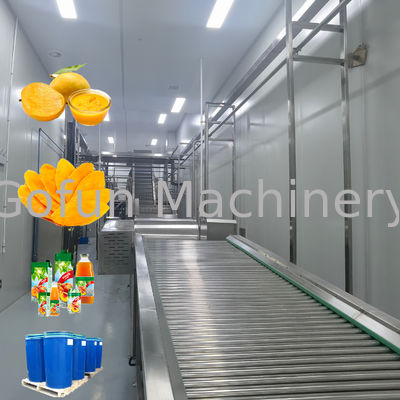 SUS304 / 316L Mango Juice Processing Machine 3T/H One Stop Service