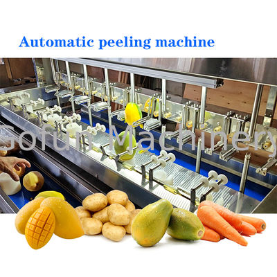 Automatic Intelligent Peeling Machine That Processes 2,000 Kg Of ...