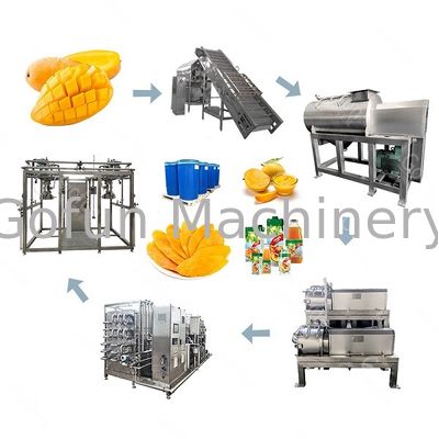 SUS304 / SS316 Mango Pulp Production Line 5 t/h Flexible Operation Support