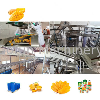 Automatic Mango Juice Production Line SUS304 Industrial Mango ...