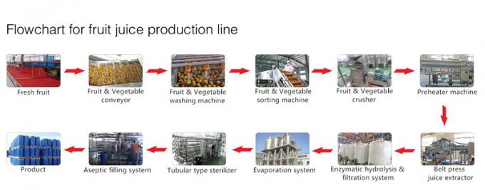 Professional Mango Processing Line / Safety Mango Juice Processing Plant