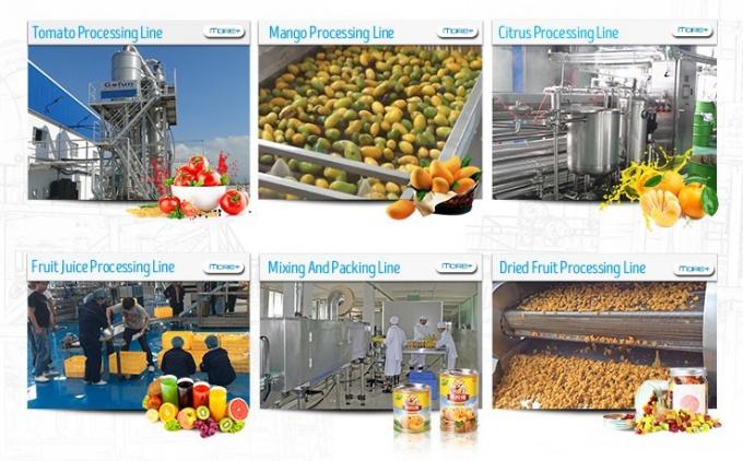 Efficient Dried Fruit Processing Equipment / Industrial Tomato Drying Machine